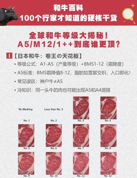 和牛是什么_和牛等级怎么分-第2张图片-山城妙识