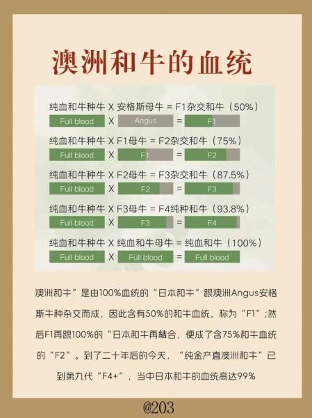 和牛是什么_和牛等级怎么分-第3张图片-山城妙识