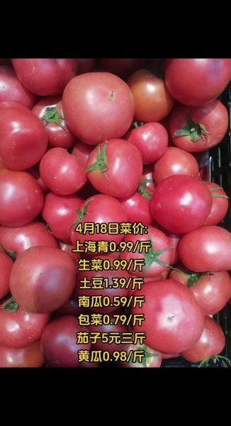 上海今日蔬菜价格表_上海菜价查询最新-第1张图片-山城妙识