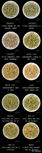 金银花图片大全大图_如何辨别真假金银花-第1张图片-山城妙识