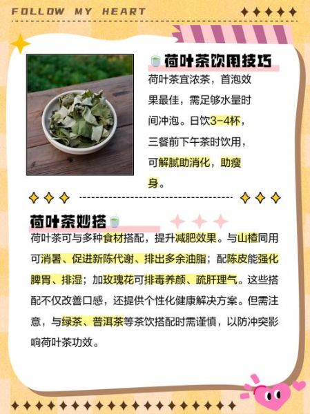 喝荷叶茶一个月能瘦几斤_荷叶茶减肥真实效果-第2张图片-山城妙识