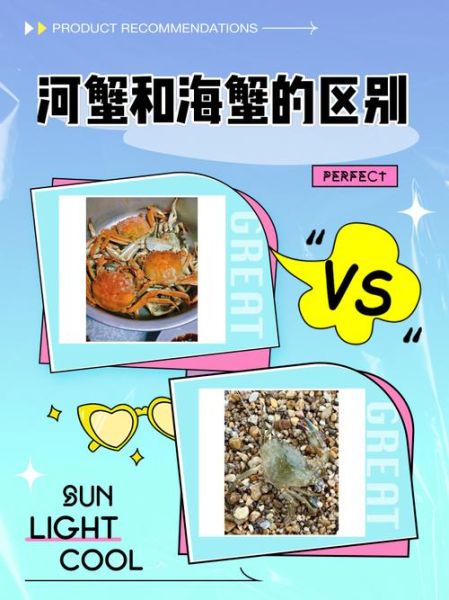 河蟹神兽是什么_河蟹神兽的由来-第1张图片-山城妙识