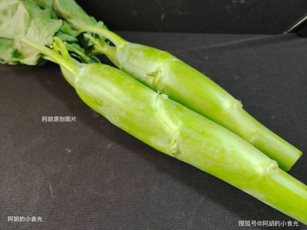 清热降火的蔬菜有哪些_怎么吃最有效-第3张图片-山城妙识