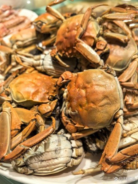 河蟹神兽是什么_河蟹神兽的由来-第2张图片-山城妙识