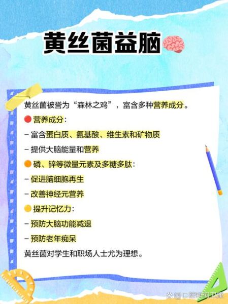 野生黄丝菌能吃吗_野生黄丝菌怎么做好吃-第1张图片-山城妙识 野生黄丝菌能吃吗_野生黄丝菌怎么做好吃-第1张图片-山城妙识