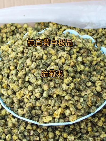 杭白菊图片怎么区分真假_杭白菊和胎菊哪个好-第2张图片-山城妙识 杭白菊图片怎么区分真假_杭白菊和胎菊哪个好-第2张图片-山城妙识