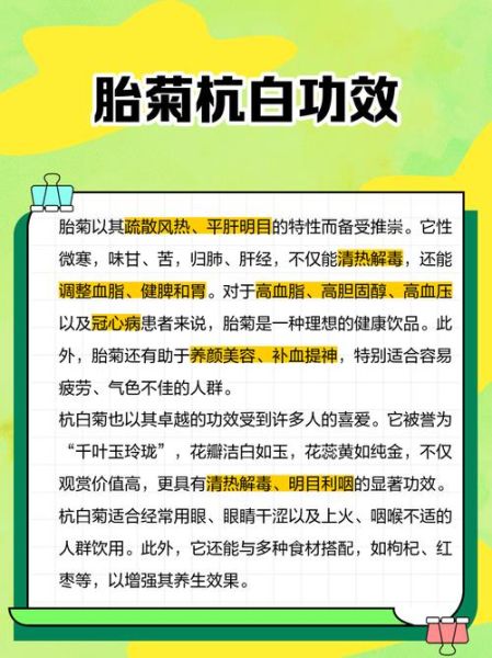 杭白菊图片怎么区分真假_杭白菊和胎菊哪个好-第1张图片-山城妙识 杭白菊图片怎么区分真假_杭白菊和胎菊哪个好-第1张图片-山城妙识