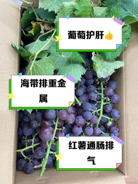 解肝毒最强的食物有哪些_如何吃才有效-第2张图片-山城妙识