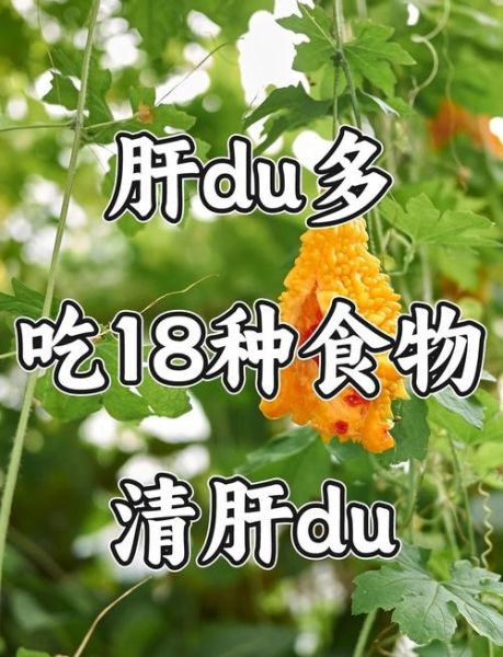 解肝毒最强的食物有哪些_如何吃才有效-第3张图片-山城妙识
