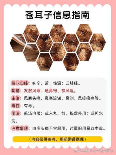 苍耳香油鼻炎做法_苍耳子油治鼻炎有效吗-第3张图片-山城妙识