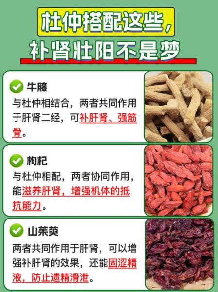 杜仲可以治腰椎间盘突出吗_杜仲治腰突效果怎么样-第1张图片-山城妙识 杜仲可以治腰椎间盘突出吗_杜仲治腰突效果怎么样-第1张图片-山城妙识