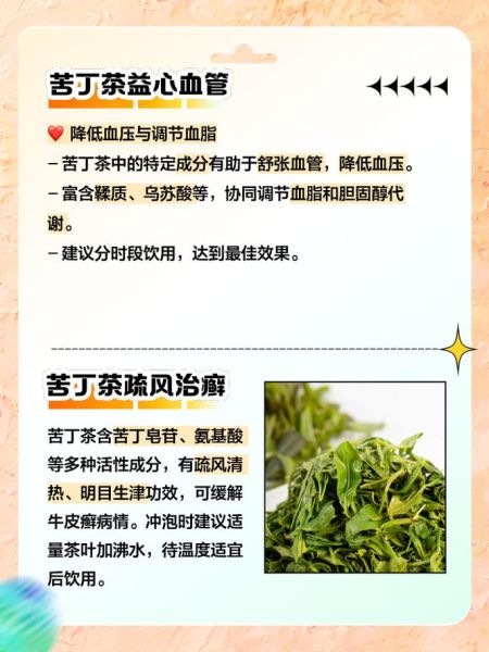 苦丁茶怎么泡最好_苦丁茶一次泡几根-第1张图片-山城妙识
