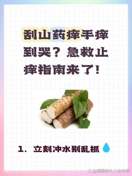 麻山药过敏手痒怎么办_麻山药手痒怎么快速止痒-第2张图片-山城妙识 麻山药过敏手痒怎么办_麻山药手痒怎么快速止痒-第2张图片-山城妙识
