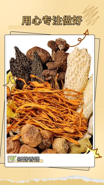 羊肚菌汤包怎么做_羊肚菌汤包的功效与禁忌-第3张图片-山城妙识