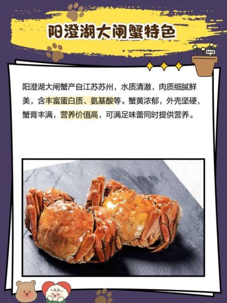 太湖大闸蟹批发市场在哪里_正宗货源怎么找-第2张图片-山城妙识