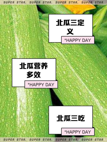 北瓜为什么叫北瓜_北瓜名称由来-第2张图片-山城妙识 北瓜为什么叫北瓜_北瓜名称由来-第2张图片-山城妙识