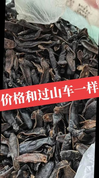 水蛭多少钱一斤_水蛭价格影响因素-第1张图片-山城妙识 水蛭多少钱一斤_水蛭价格影响因素-第1张图片-山城妙识