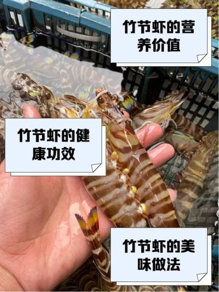 竹节虾怎么做好吃_竹节虾的家常做法-第1张图片-山城妙识