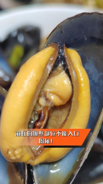海虹哪个部位不能吃_海虹内脏能吃吗-第1张图片-山城妙识 海虹哪个部位不能吃_海虹内脏能吃吗-第1张图片-山城妙识