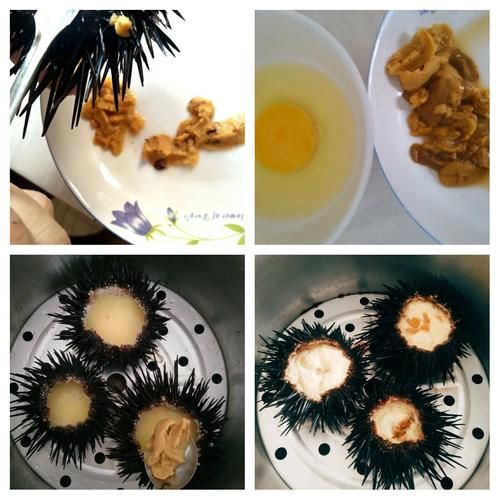 海胆黄怎么吃_海胆黄的营养价值-第2张图片-山城妙识