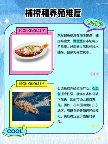 苏眉鱼和东星斑哪个贵_价格对比与选购指南-第2张图片-山城妙识 苏眉鱼和东星斑哪个贵_价格对比与选购指南-第2张图片-山城妙识