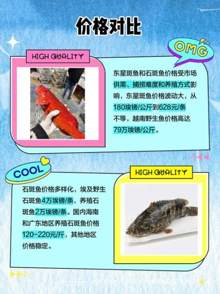 苏眉鱼和东星斑哪个贵_价格对比与选购指南-第1张图片-山城妙识 苏眉鱼和东星斑哪个贵_价格对比与选购指南-第1张图片-山城妙识