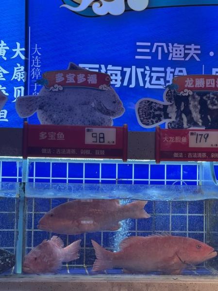 苏眉鱼和东星斑哪个贵_价格对比与选购指南-第3张图片-山城妙识 苏眉鱼和东星斑哪个贵_价格对比与选购指南-第3张图片-山城妙识