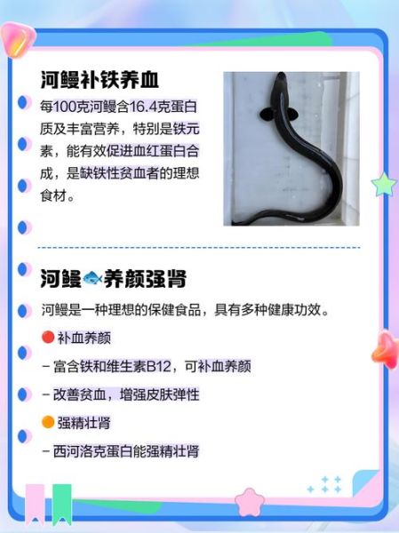 河鳗养殖技术_河鳗养殖成本与利润-第3张图片-山城妙识