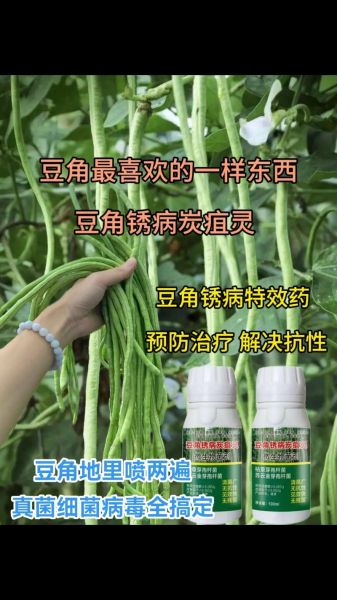豇豆锈病用什么药防治效果最好_豇豆锈病防治特效药推荐-第2张图片-山城妙识