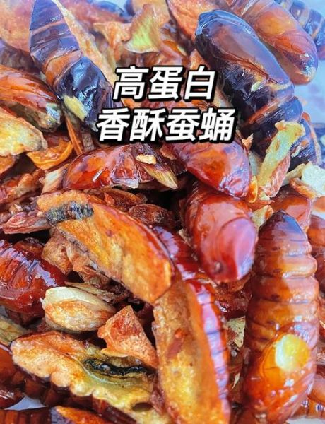 蚕蛹怎么做好吃_蚕蛹的家常做法-第1张图片-山城妙识