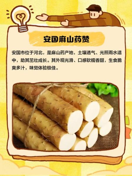 麻山药的营养价值_麻山药的功效与作用-第2张图片-山城妙识