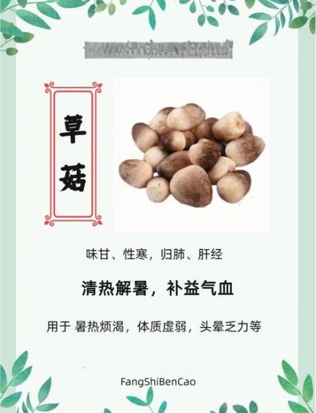 草菇种植利润怎么样_草菇种植成本与收益-第1张图片-山城妙识