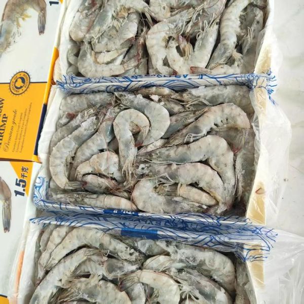 青虾价格多少钱一斤_青虾多少钱一斤2024-第2张图片-山城妙识