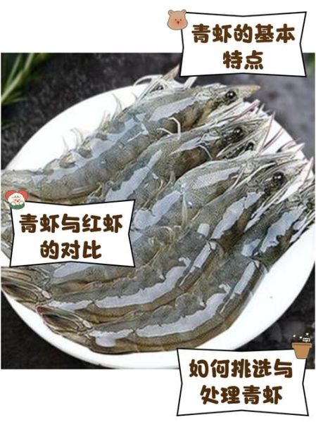 青虾价格多少钱一斤_青虾多少钱一斤2024-第3张图片-山城妙识