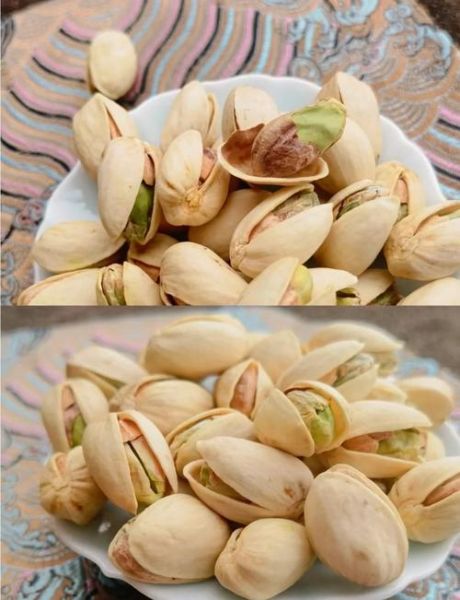 开心果产地在哪里_开心果主要产自哪些国家-第1张图片-山城妙识