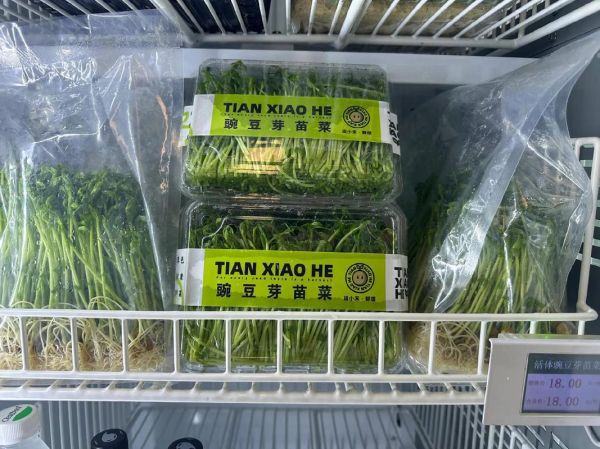 芽苗菜加盟多少钱_芽苗菜加盟利润怎么样-第1张图片-山城妙识