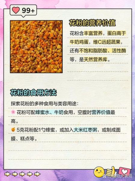 花粉的功效与作用吃法_花粉怎么吃效果最好-第3张图片-山城妙识