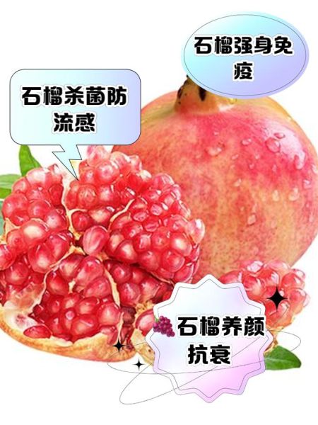 吃石榴的好处与功效_吃石榴的坏处有哪些-第3张图片-山城妙识