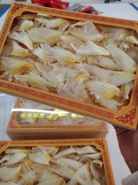 鱼翅干货图片大全_如何辨别真假鱼翅-第3张图片-山城妙识