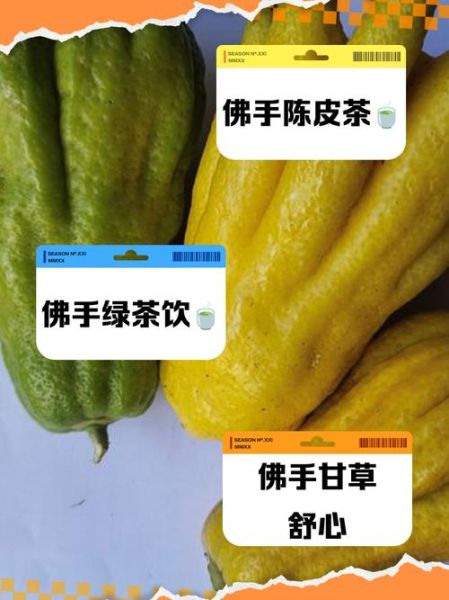 佛手泡水喝的功效与禁忌_佛手泡水怎么喝才有效-第3张图片-山城妙识 佛手泡水喝的功效与禁忌_佛手泡水怎么喝才有效-第3张图片-山城妙识