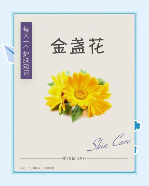 金盏花对皮肤的功效与作用_金盏花怎么使用最有效-第2张图片-山城妙识