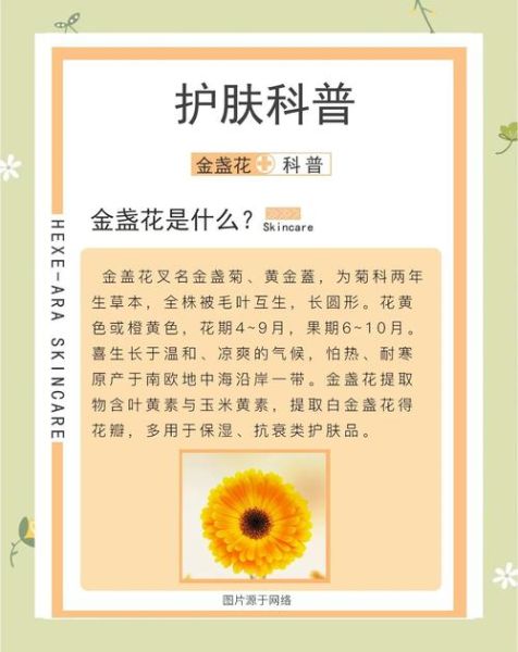 金盏花对皮肤的功效与作用_金盏花怎么使用最有效-第1张图片-山城妙识