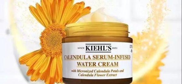 金盏花对皮肤的功效与作用_金盏花怎么使用最有效-第3张图片-山城妙识