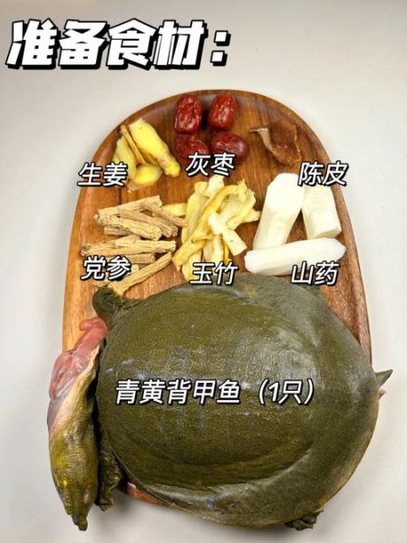 甲鱼怎么杀_甲鱼汤的做法大全-第1张图片-山城妙识