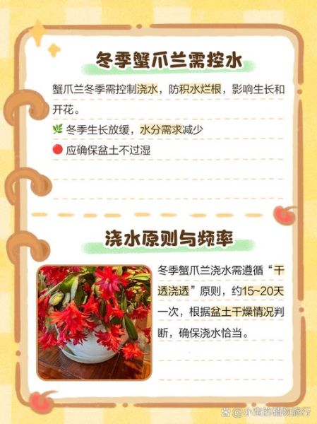 蟹爪兰冬季怎么养_蟹爪兰冬天多久浇一次水-第1张图片-山城妙识