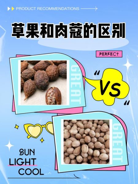 草寇在卤水中起什么作用_草寇与肉蔻区别-第1张图片-山城妙识 草寇在卤水中起什么作用_草寇与肉蔻区别-第1张图片-山城妙识