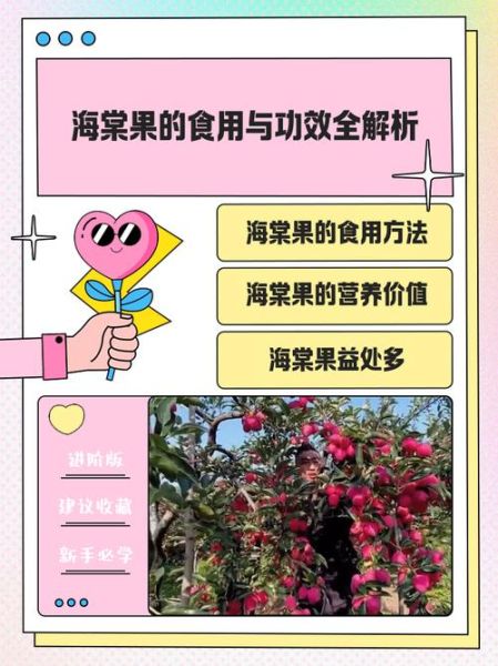 海棠果能吃吗_海棠果的功效与作用-第2张图片-山城妙识