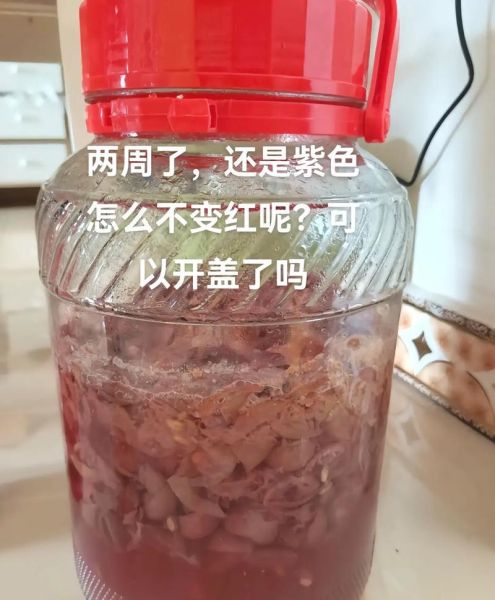 自制果酒的正确方法_果酒发酵失败怎么办-第1张图片-山城妙识