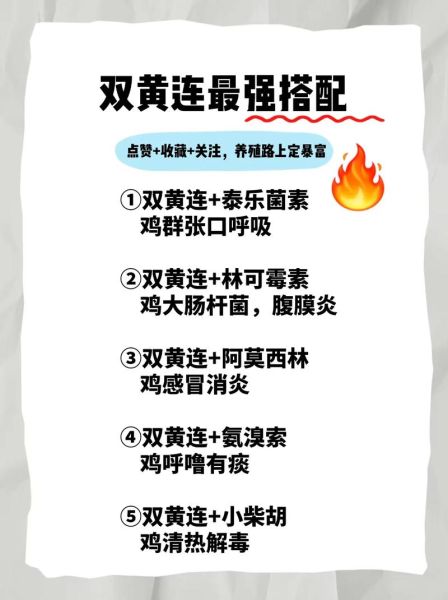 肉鸡养殖成本怎么算_肉鸡养殖利润高吗-第2张图片-山城妙识