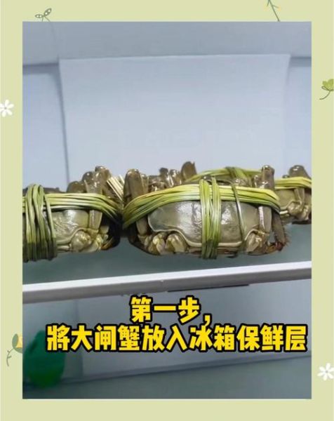买回来的活螃蟹怎么存放_活螃蟹能放冰箱吗-第2张图片-山城妙识